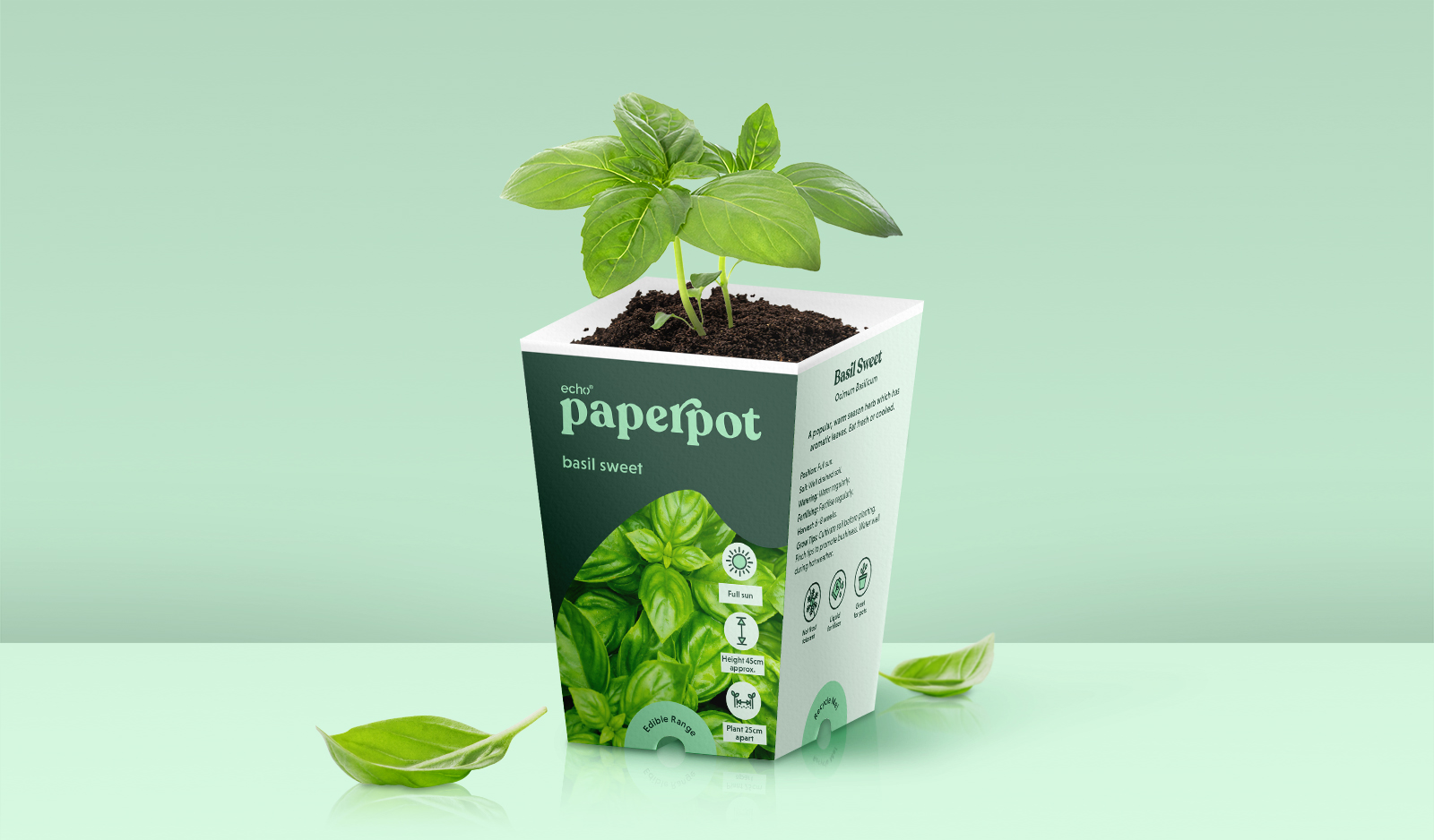 Paper Pot – The plastic free plant pot