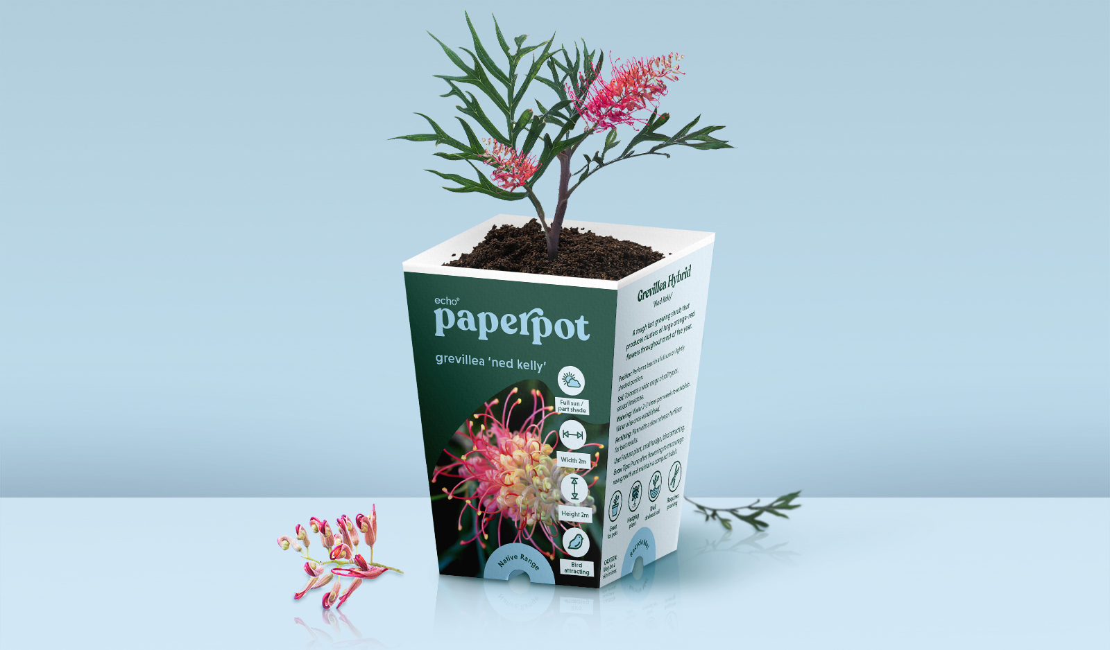 Paper Pot – The plastic free plant pot