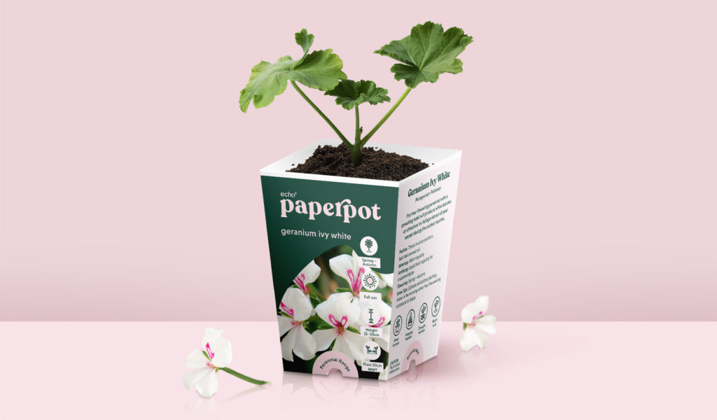 Paper Pot – The plastic free plant pot