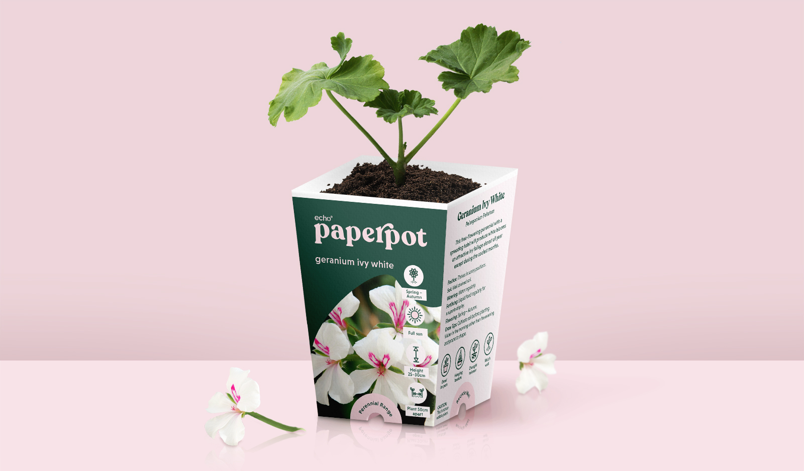 Paper Pot – The plastic free plant pot
